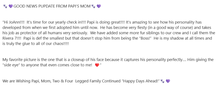 Destiny For Dogs, Not-for-Profit 501 (c)(3) | Rescue – Assistance ...